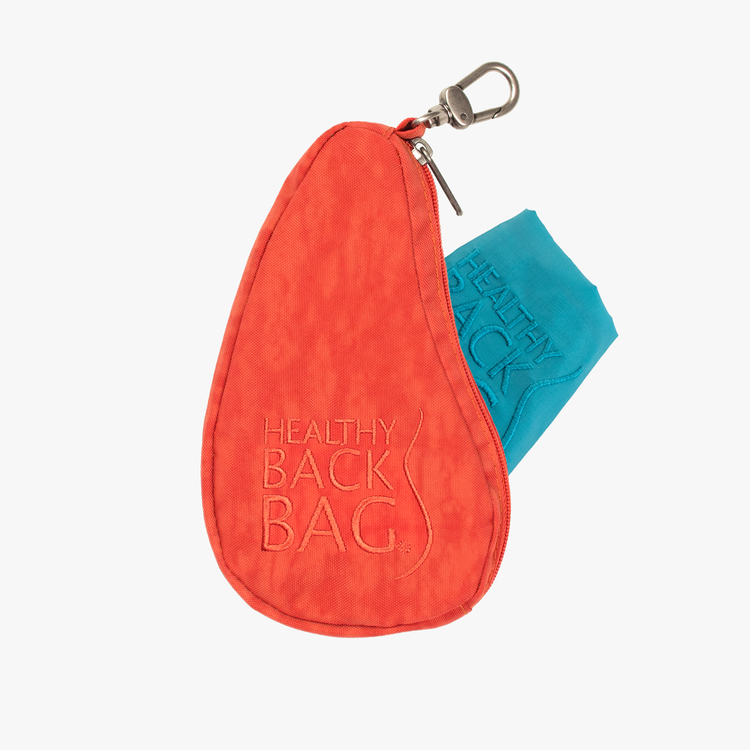 The Healthy Back Bag