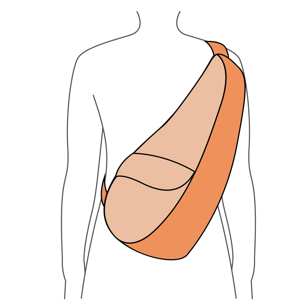 Size Guide – The Healthy Back Bag